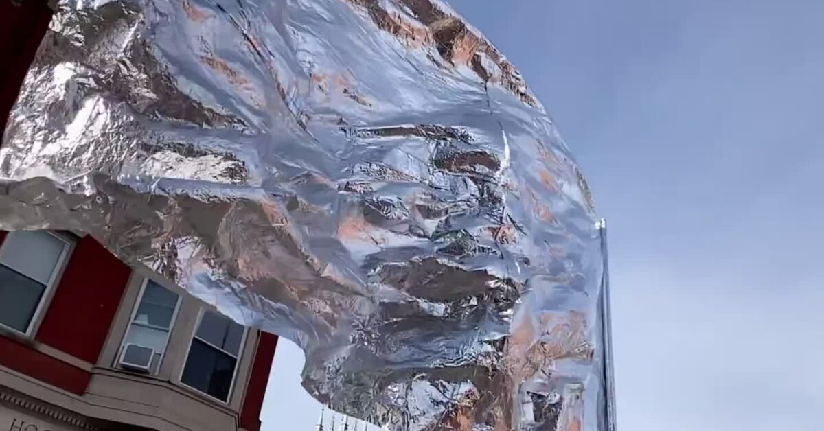 About – FlagSSS Day